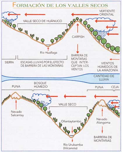 Los valles secos de la selva alta