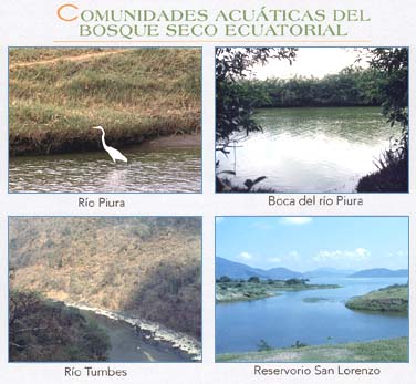 Las comunidades acuáticas